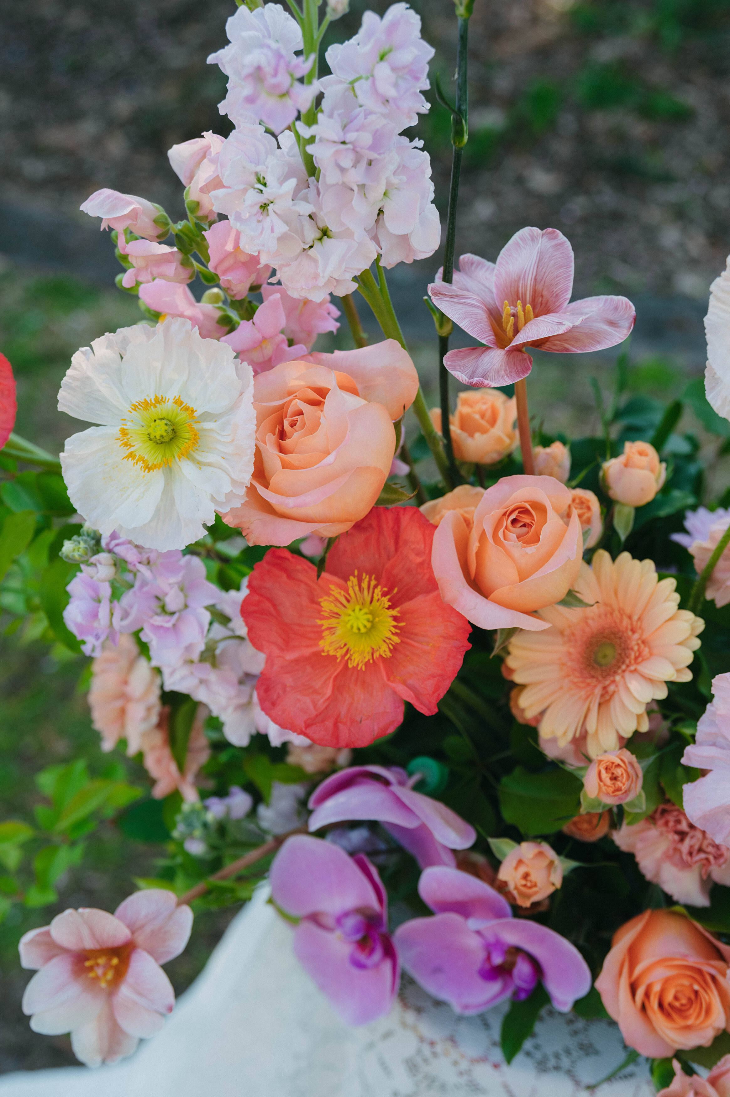 Home | Golden Flora